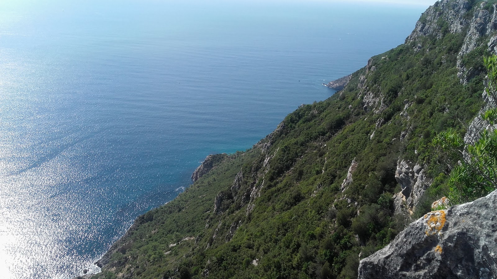 SURICATINA: Serra do Risco (Arrábida)