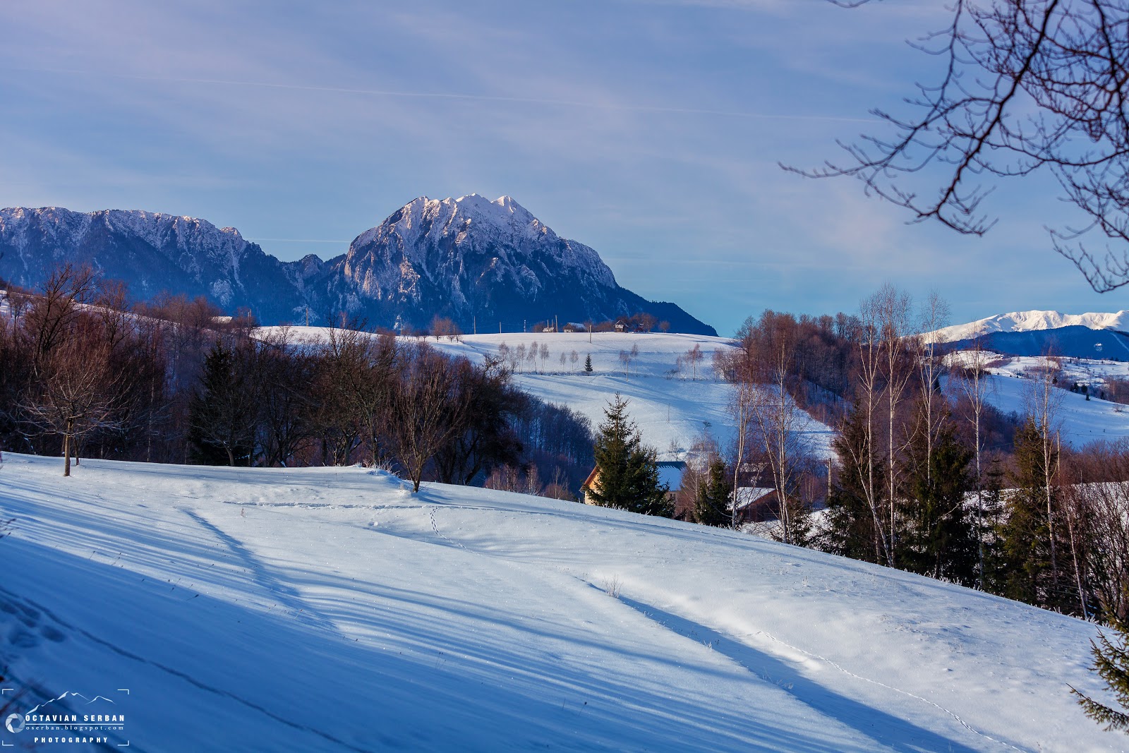 Octavian Serban: Poiana Marului Village...