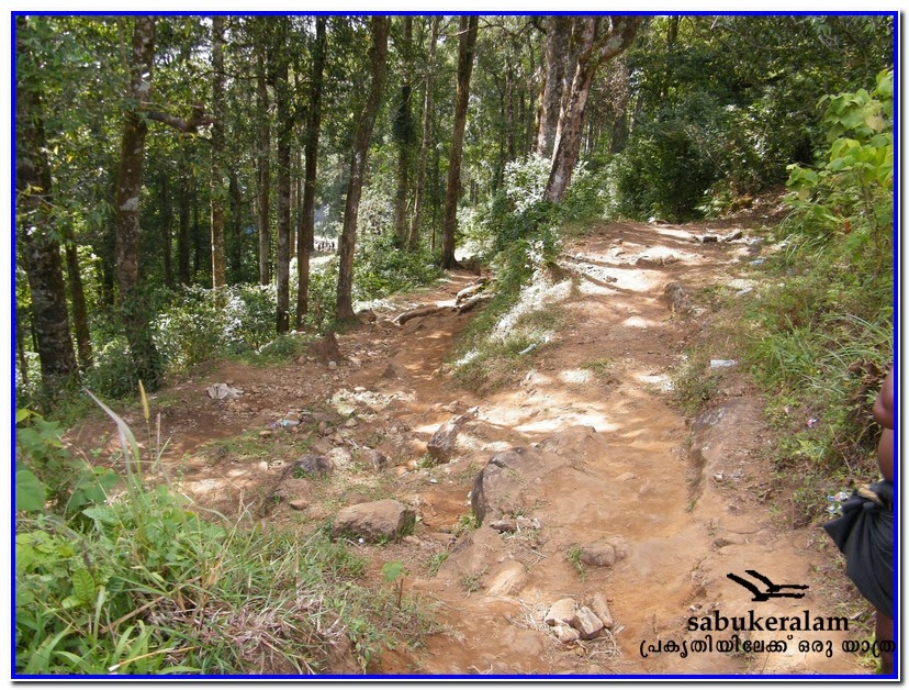 പ്രകൃതിയിലേക്ക് ഒരു യാത്ര (a travel towards NATURE): PULLUMEDU a unique ...