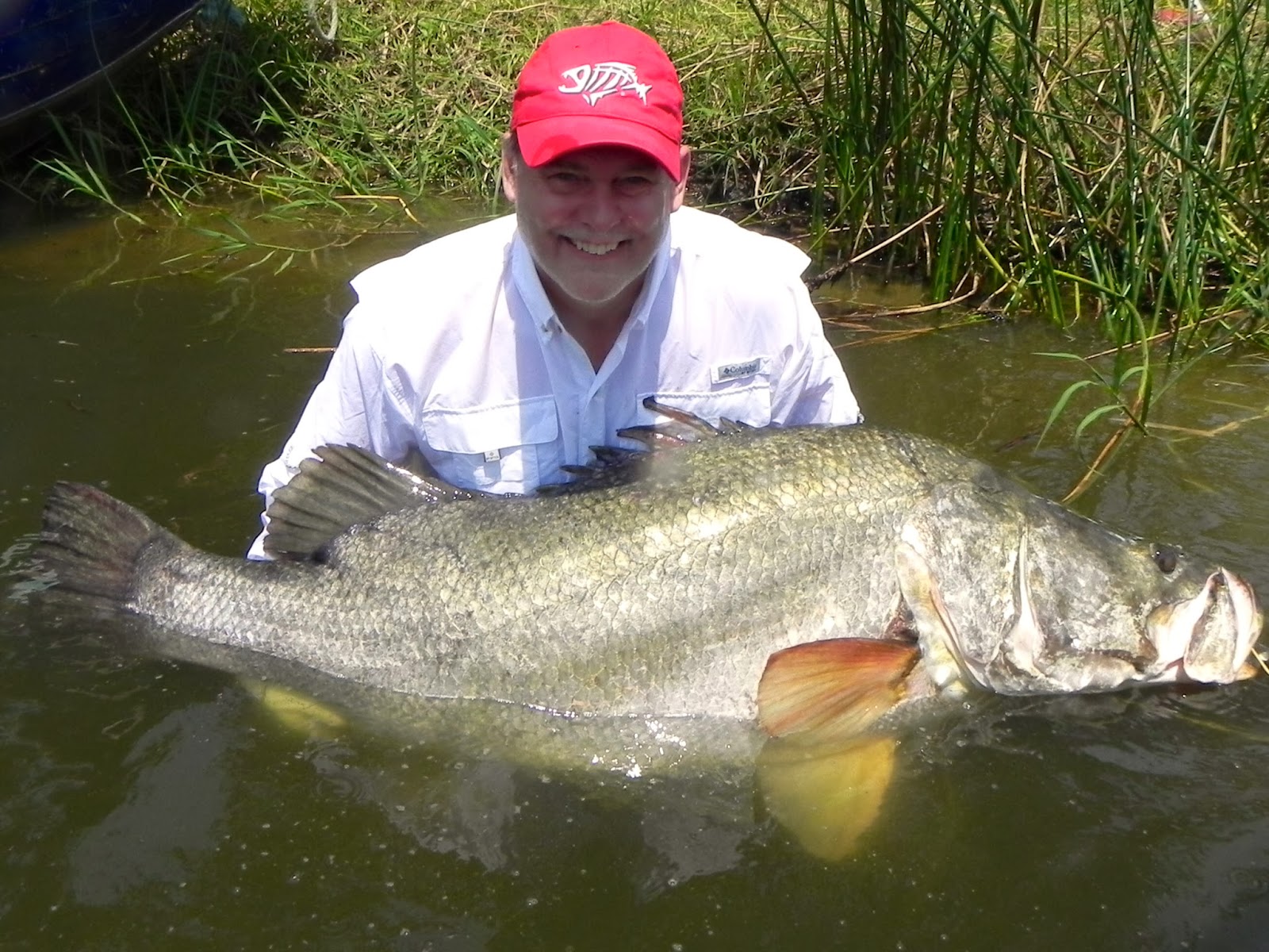 THE FISHING NEWS: Nile Perch at Murchison Falls in Uganda. Africa