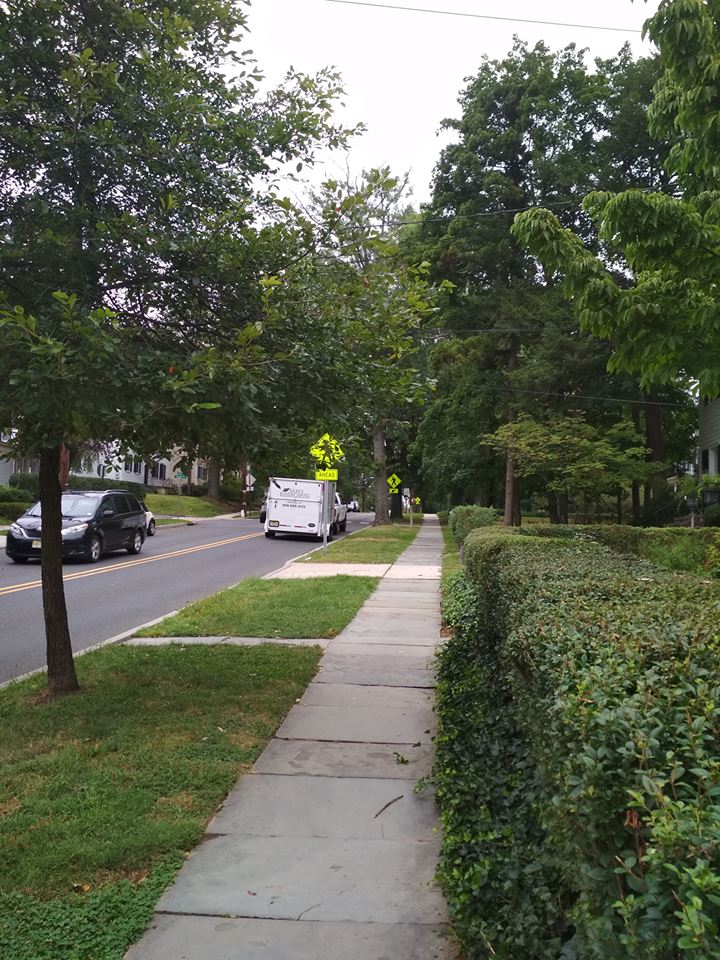 CHINAR SHADE : ALBERT EINSTIEN'S HOUSE IN PRINCETON