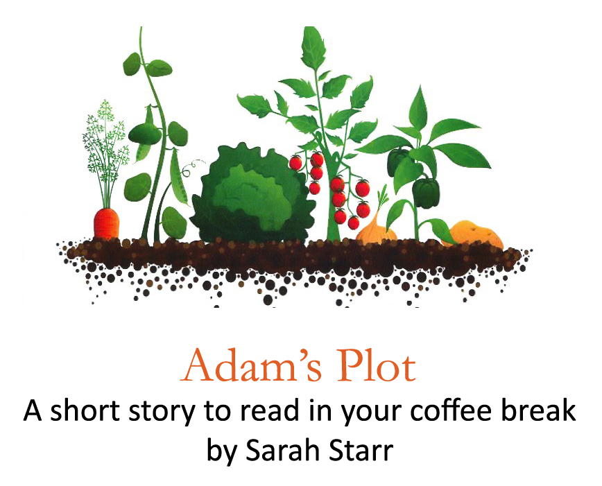 Adam's Plot