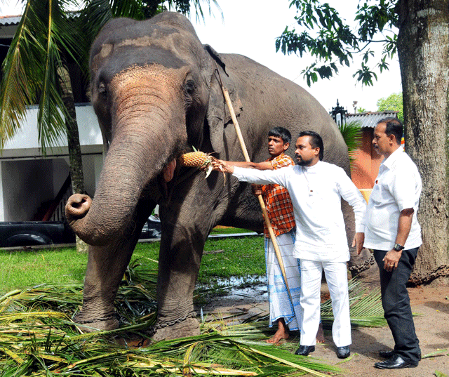 අමාවක : වීරවංශ මැතිඳුන්ට නිවන් සුව ලැබේවා