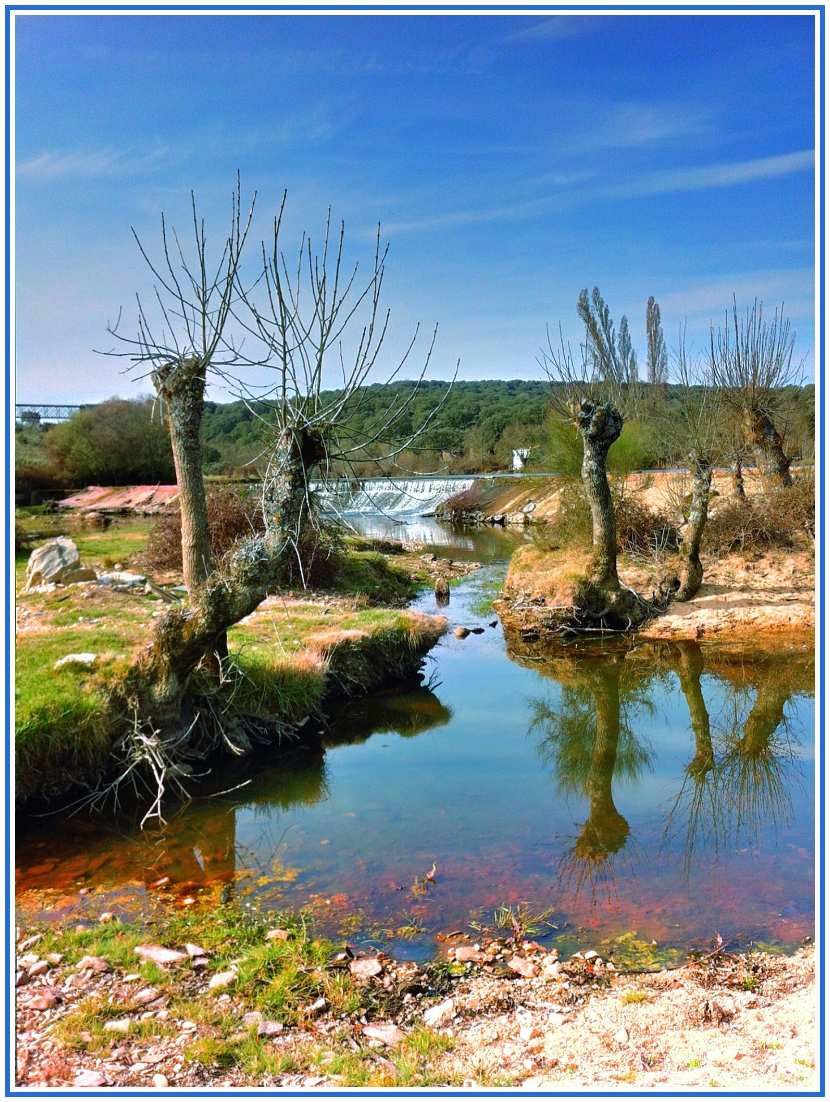 Tierra charra: Presa del Pisón