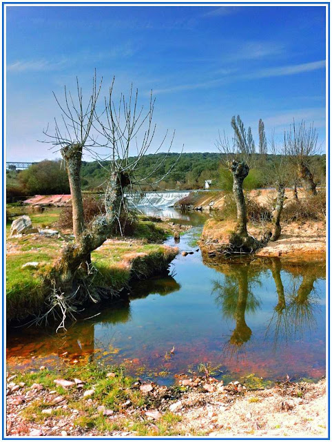 Tierra charra: Presa del Pisón
