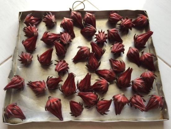 Nih Mengenal Apa Itu Bunga Rosella ? - Home Konsep