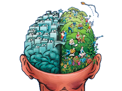 Conciencias Cienfuegos: Cerebro.- Cerebro Racional.-