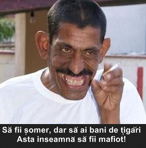 Poze Amuzante / haioase / meme: Sa fii somer dar sa ai bani de tigari ...