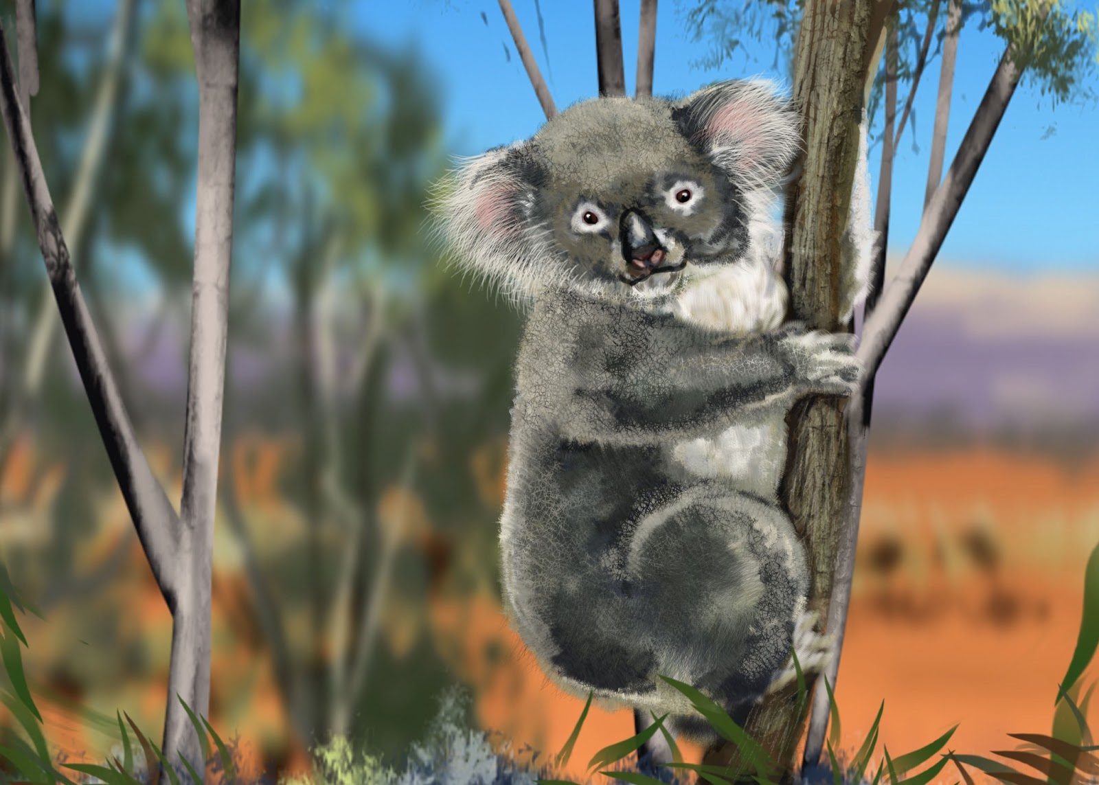 Zoo Park: Run Your Own Animal Sanctuary: The Koala