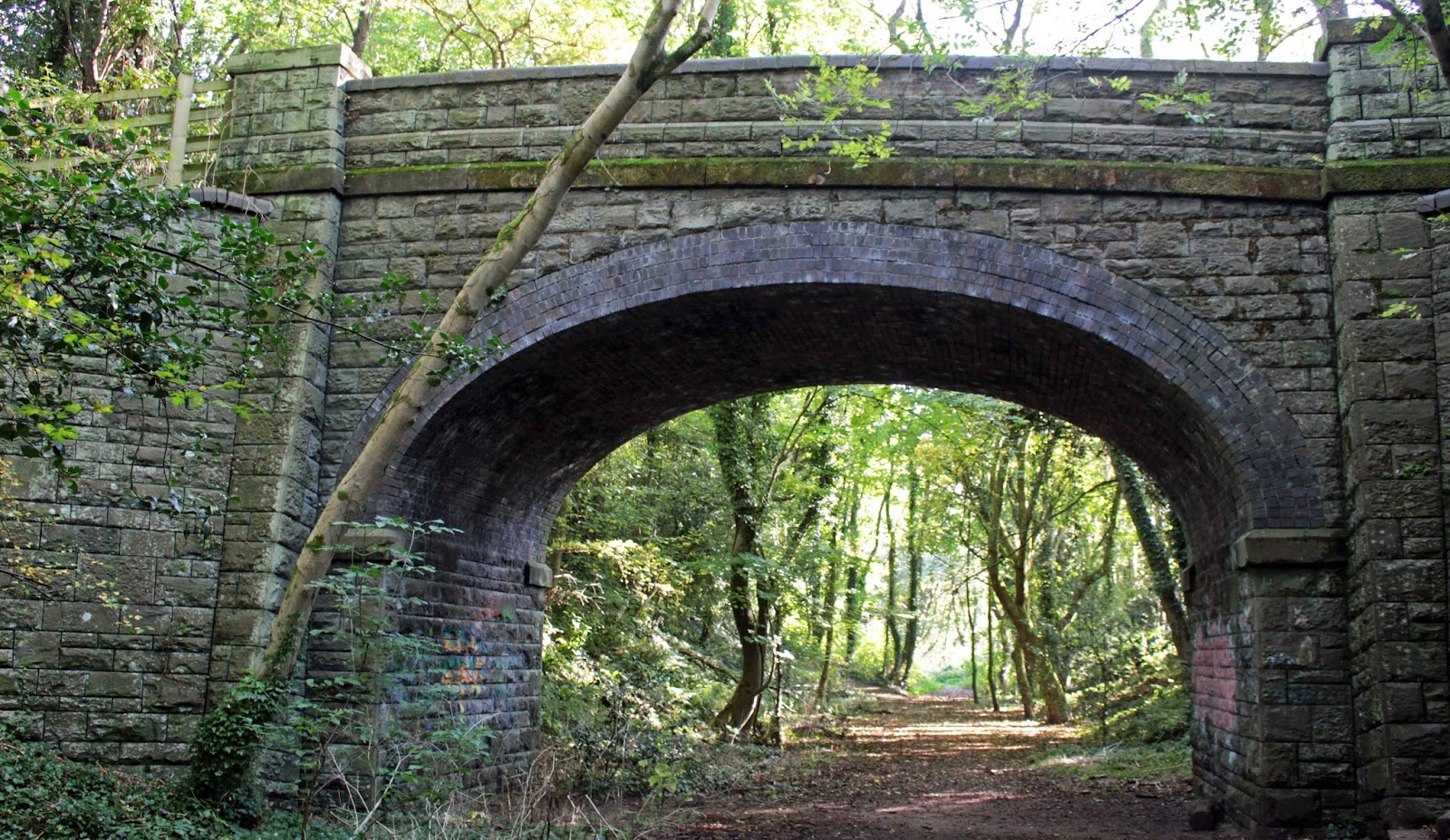 sconzani: Cardiff walks: Forest Farm Nature Reserve