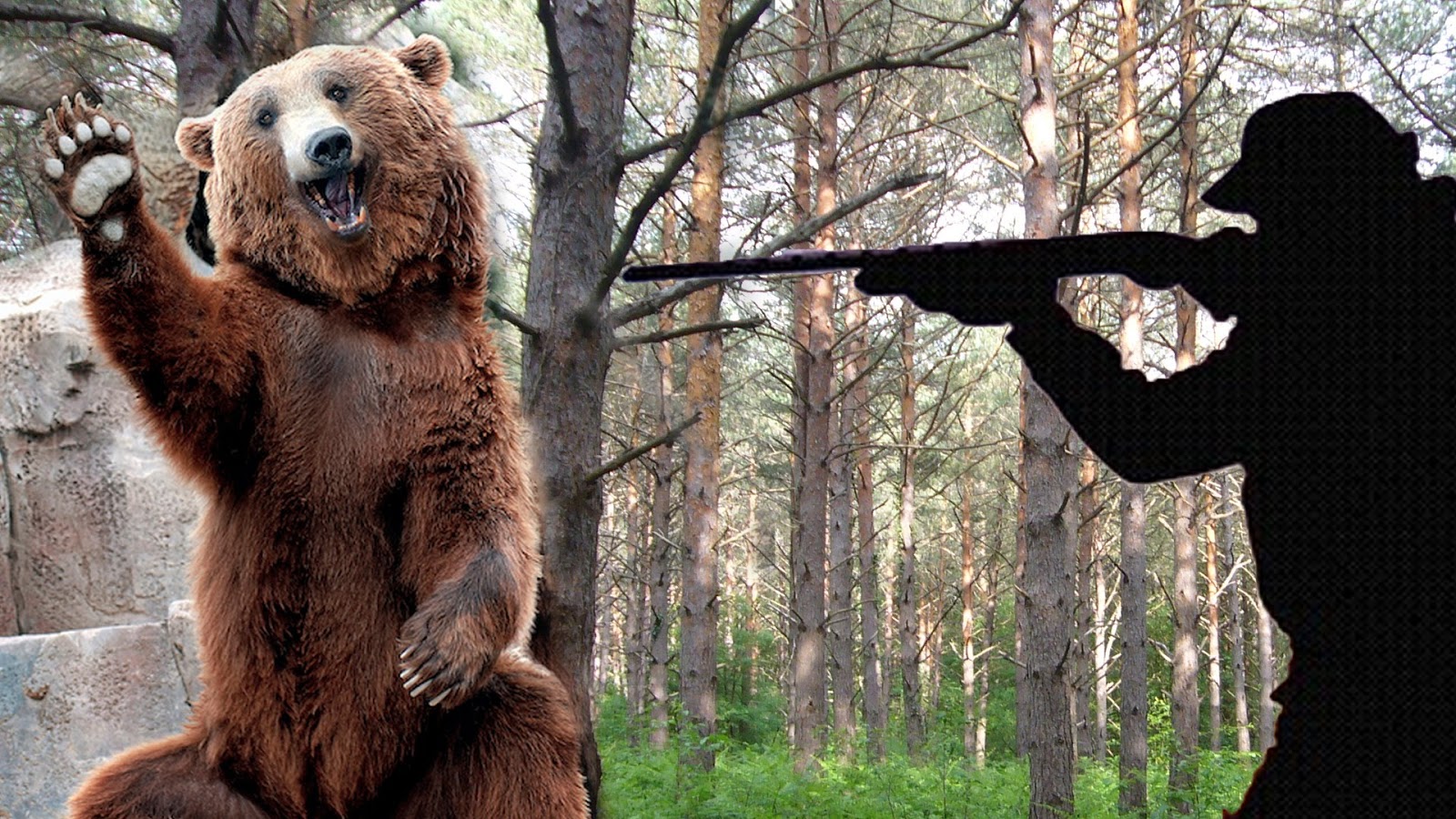 Imagenes, fantasia y color: EL CAZADOR