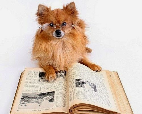 Volando con Wendy: LOS PERRITOS LECTORES