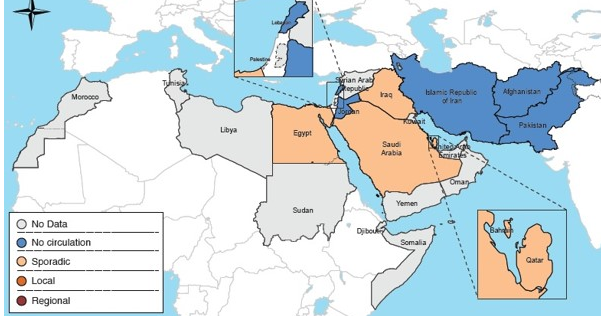 Avian Flu Diary: WHO EMRO: Influenza Activity In The Middle East ...
