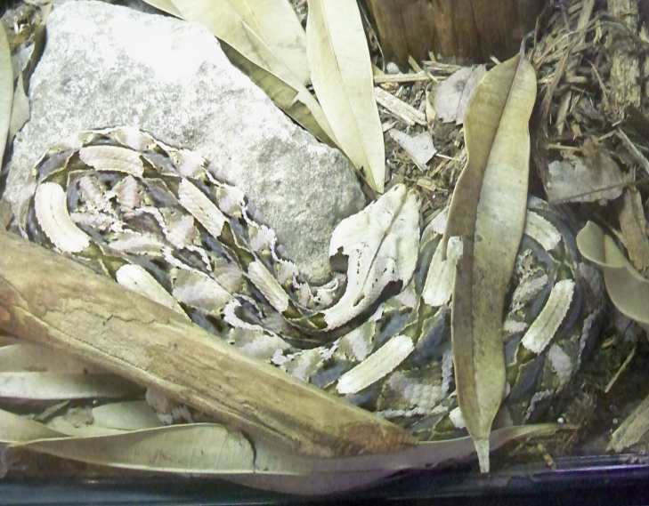 View From The Porch: More zoo photos...