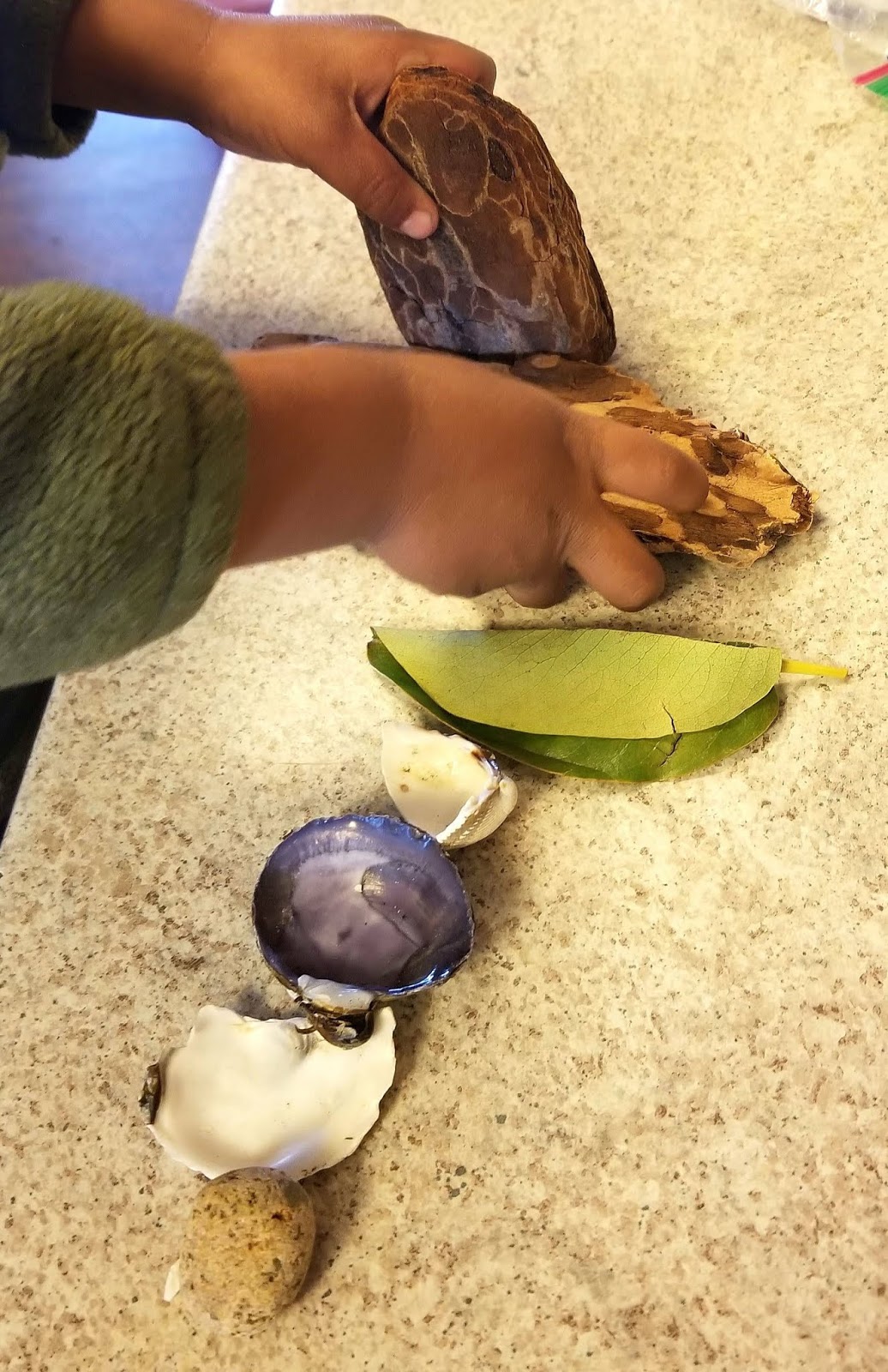 Create a Nature Boat