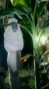 Gambar Pocong Monyet - Gambar Pocong Seram 2019