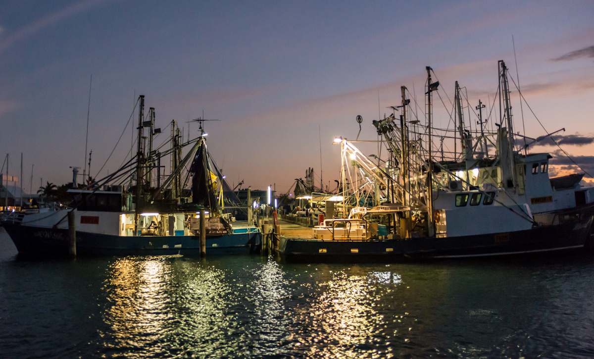 Nimrod catamaran: Newport and Mooloolaba