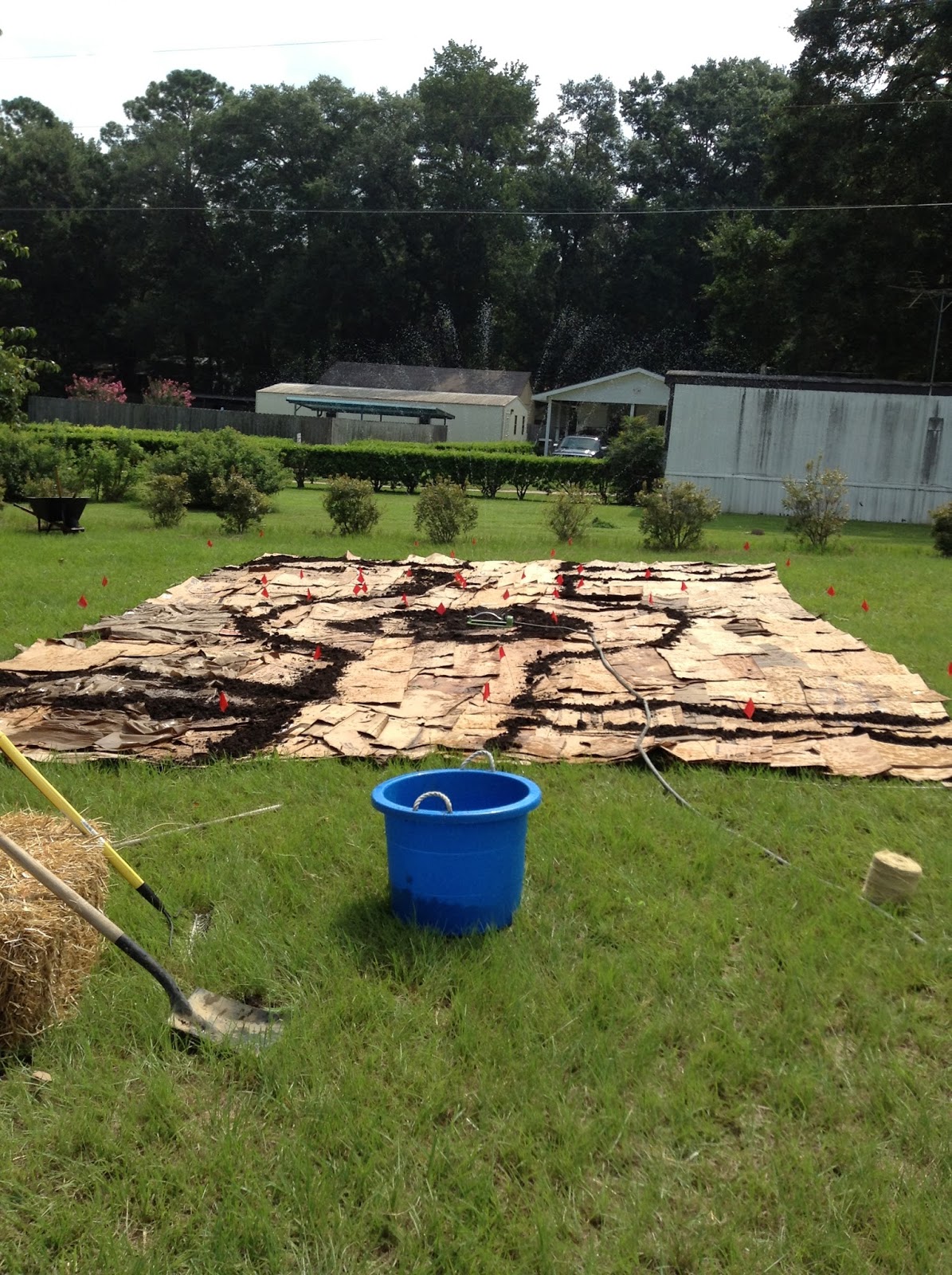 Tallahassee Permaculture Living: MEGAS Permablitz