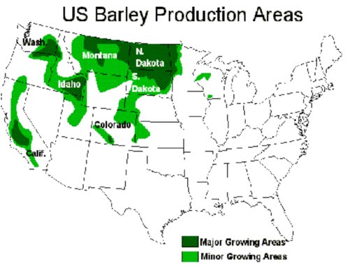 NephiCode: Wood Ship and West Sea Landing – Part VII