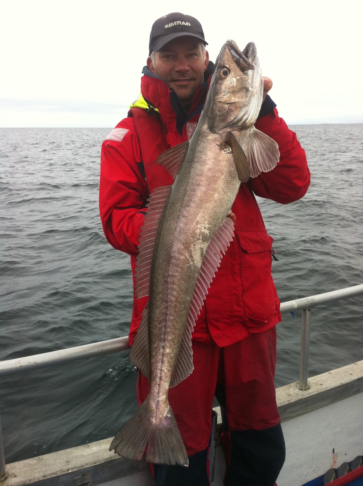 Team Isola: Kummel!!