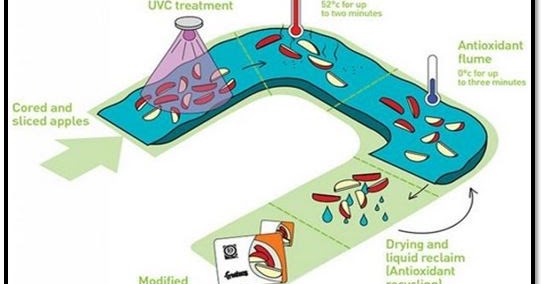 Pulsed Light Treatments for Food Preservation - Agriculture2u.com by ...
