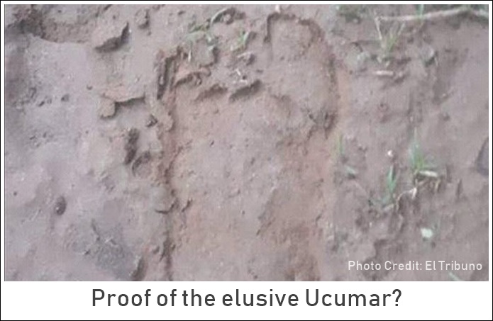 Inexplicata-The Journal of Hispanic Ufology: Argentina: A Big Footprint ...