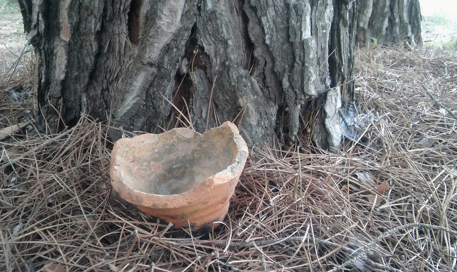 El Blog de Ciempies: El paraíso del Río Cebollón.