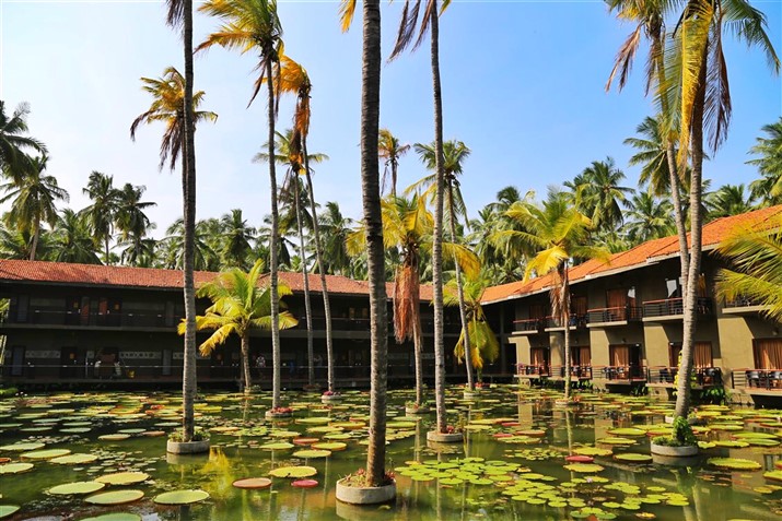 Dindi by the Godavari: A perfect holiday destination in coastal Andhra