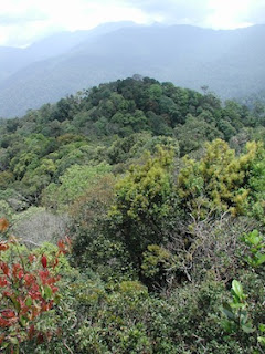 Selangor State Park - Taman Warisan Negeri Selangor: Bukit Kutu - A Fun ...