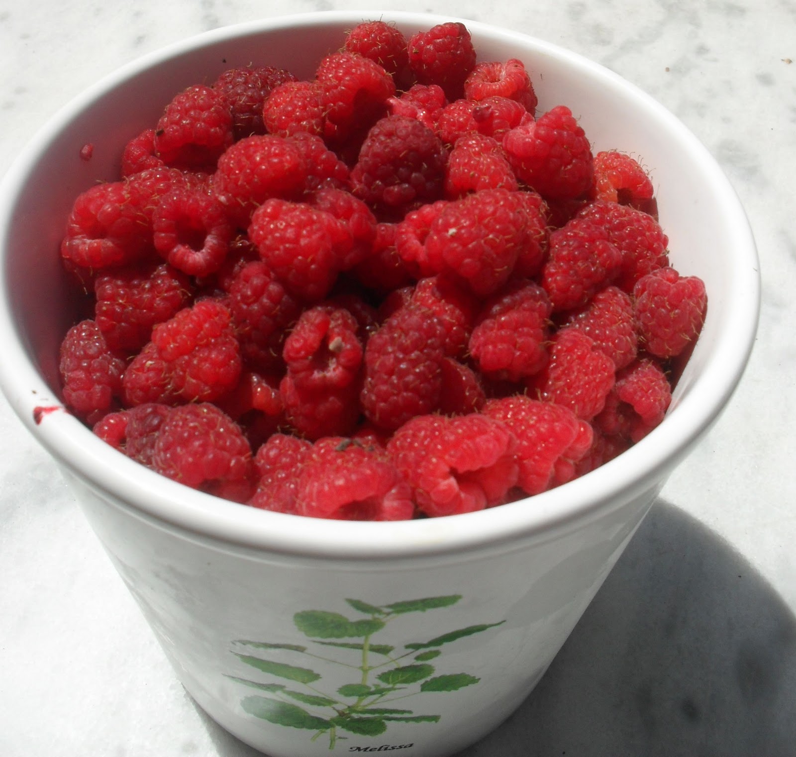 My unedited life in France: Growing raspberries
