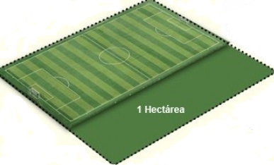 Enroque de ciencia: ¿Superficie o área?