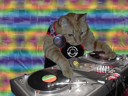 Gato DJ - Imagui
