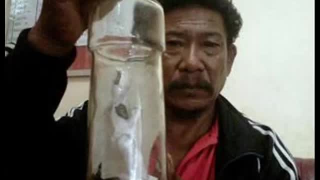 serem !!! Tertangkapnya Tuyul yang dipelihara oleh manusia - RODA LAWAS