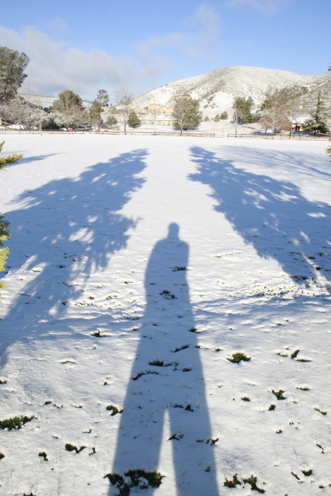 Expose for the Shadows