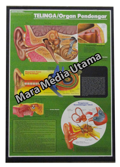 Produsen, Supplier dan Distributor Alat Peraga Pendidikan Laboratorium ...