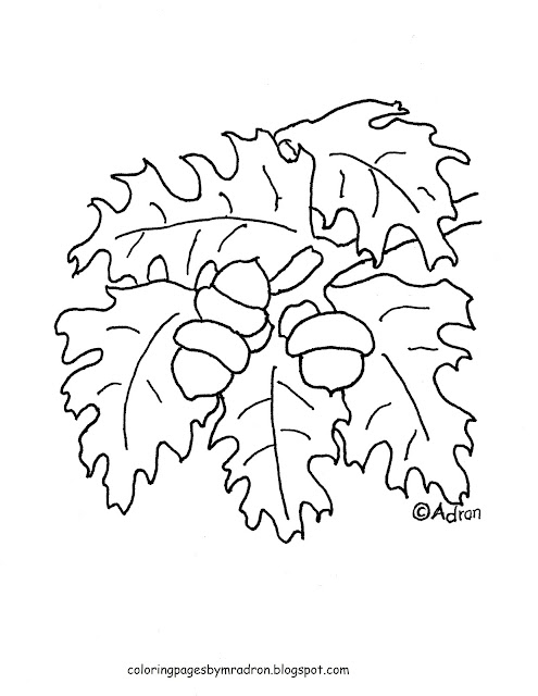 Coloring Pages for Kids by Mr. Adron: Printable Acorns and Leaves ...