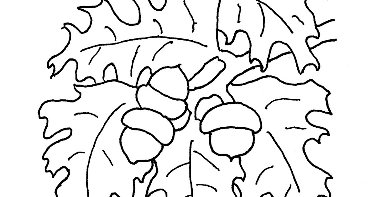 Coloring Pages for Kids by Mr. Adron: Printable Acorns and Leaves ...