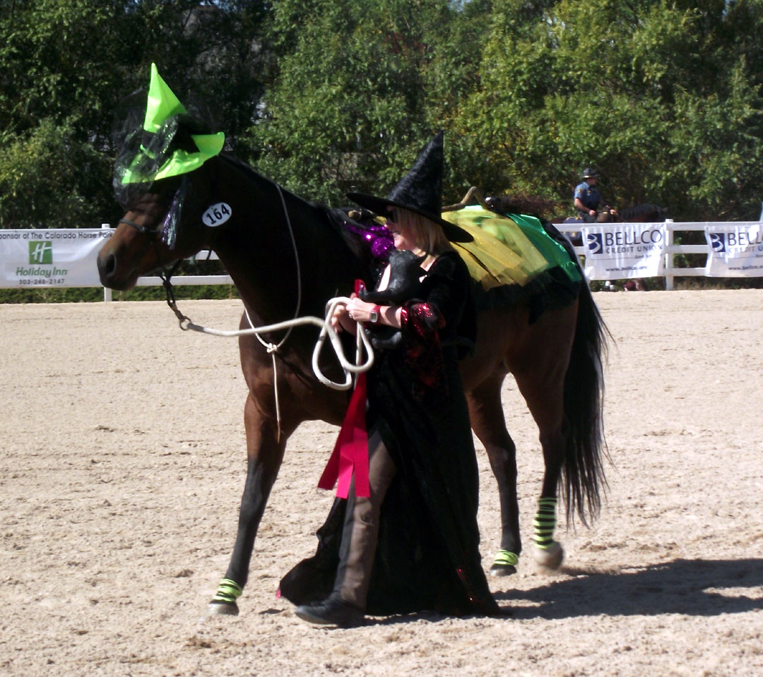Horse Fancy Dress Ideas: Witch
