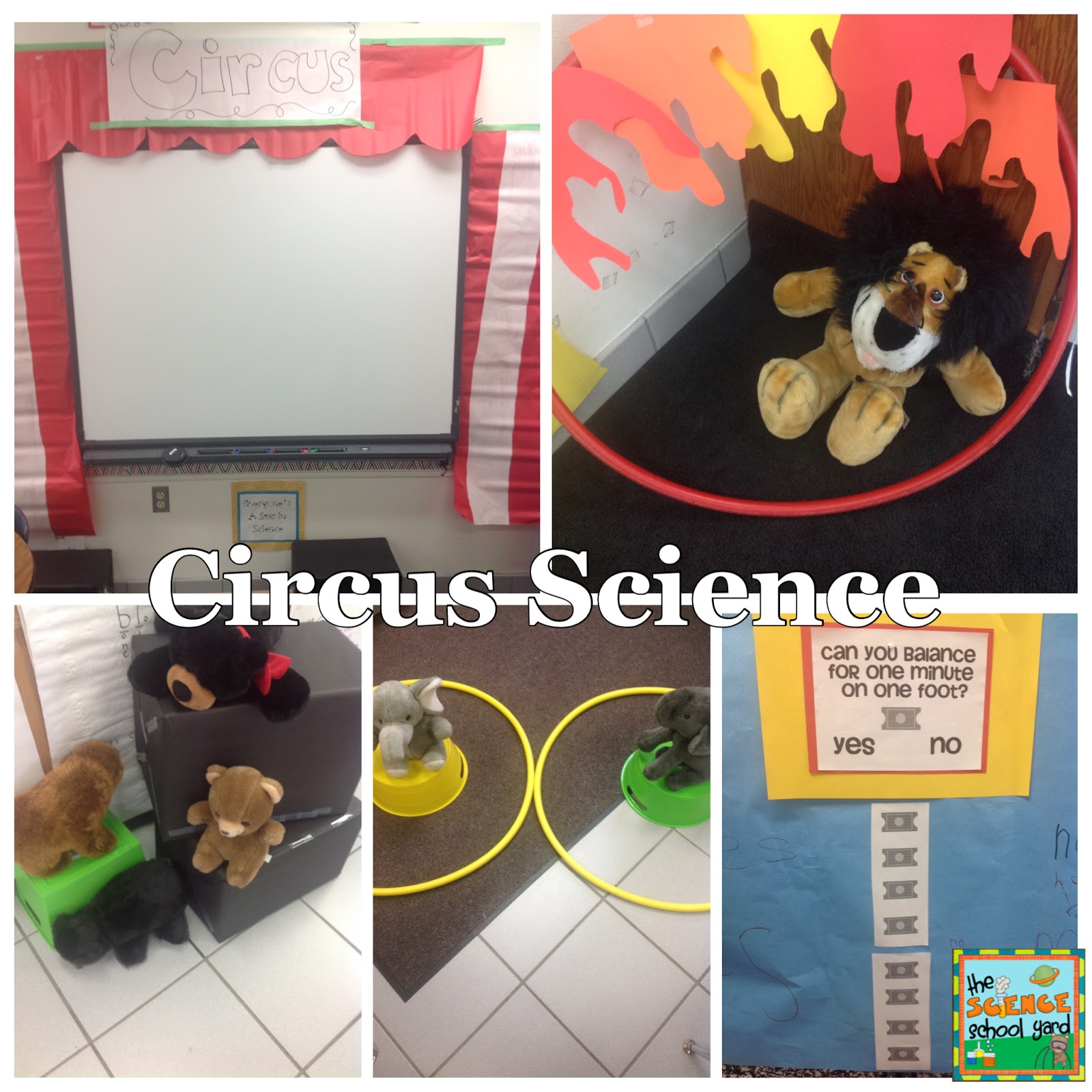 Science Circus - The Science School Yard