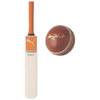 World Sports Picture: Cricket Bat and Bowl