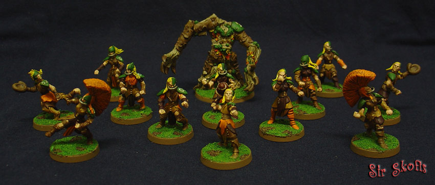 Sir Skofis's Workshop: Blood Bowl Wood Elf Team