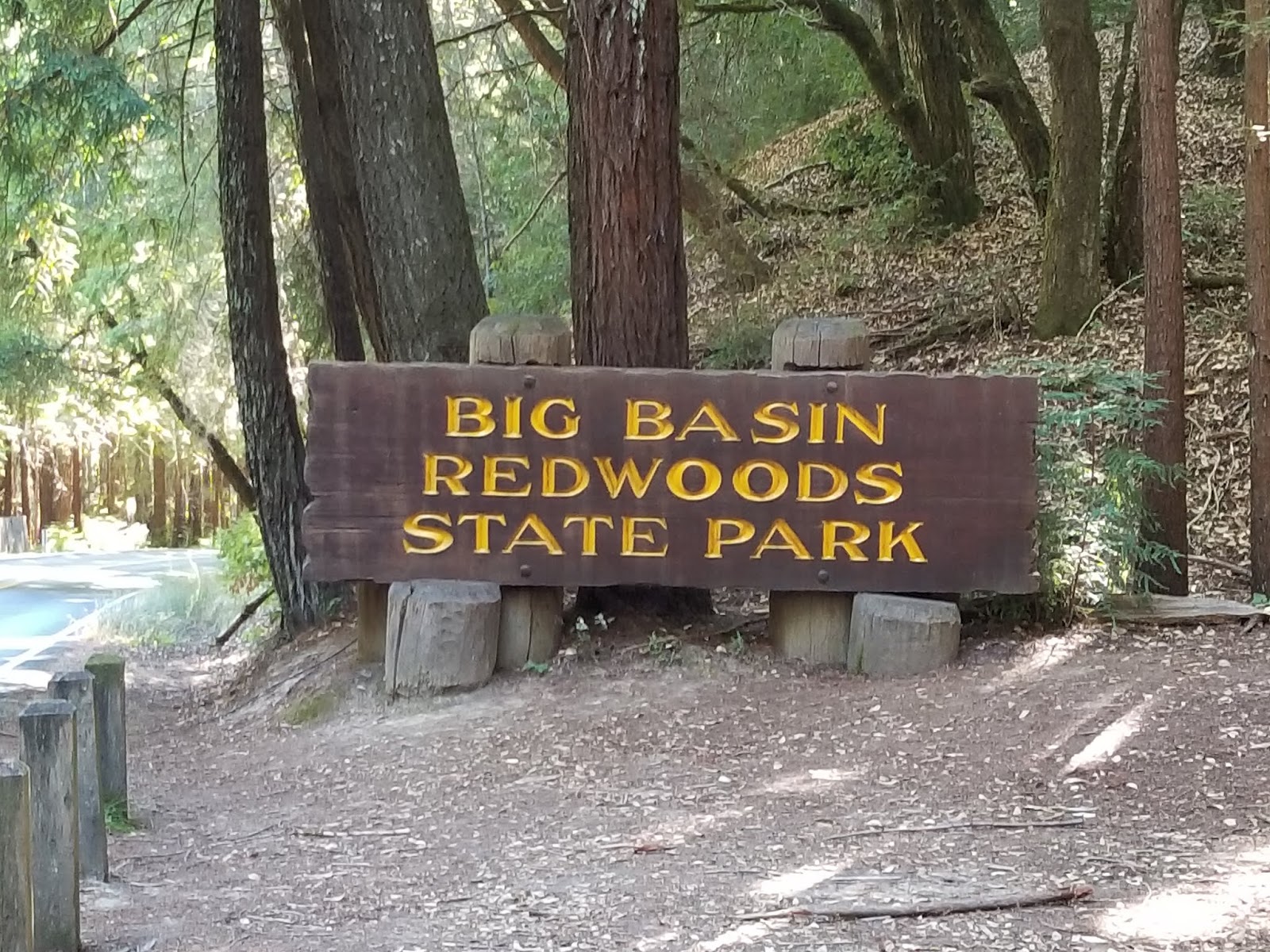 WeMayBeBack: Big Basin State Park