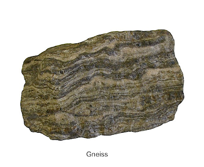 Quoi de neuf en SVT ? par Maître Corydon Muttaburrasaurus: Le domaine ...