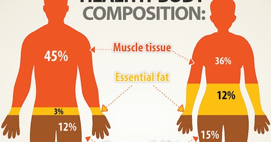 Body Composition FAQs
