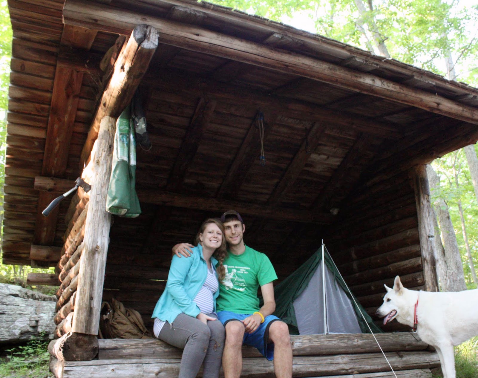 Visibly Moved: Camping at Pachaug State Forest