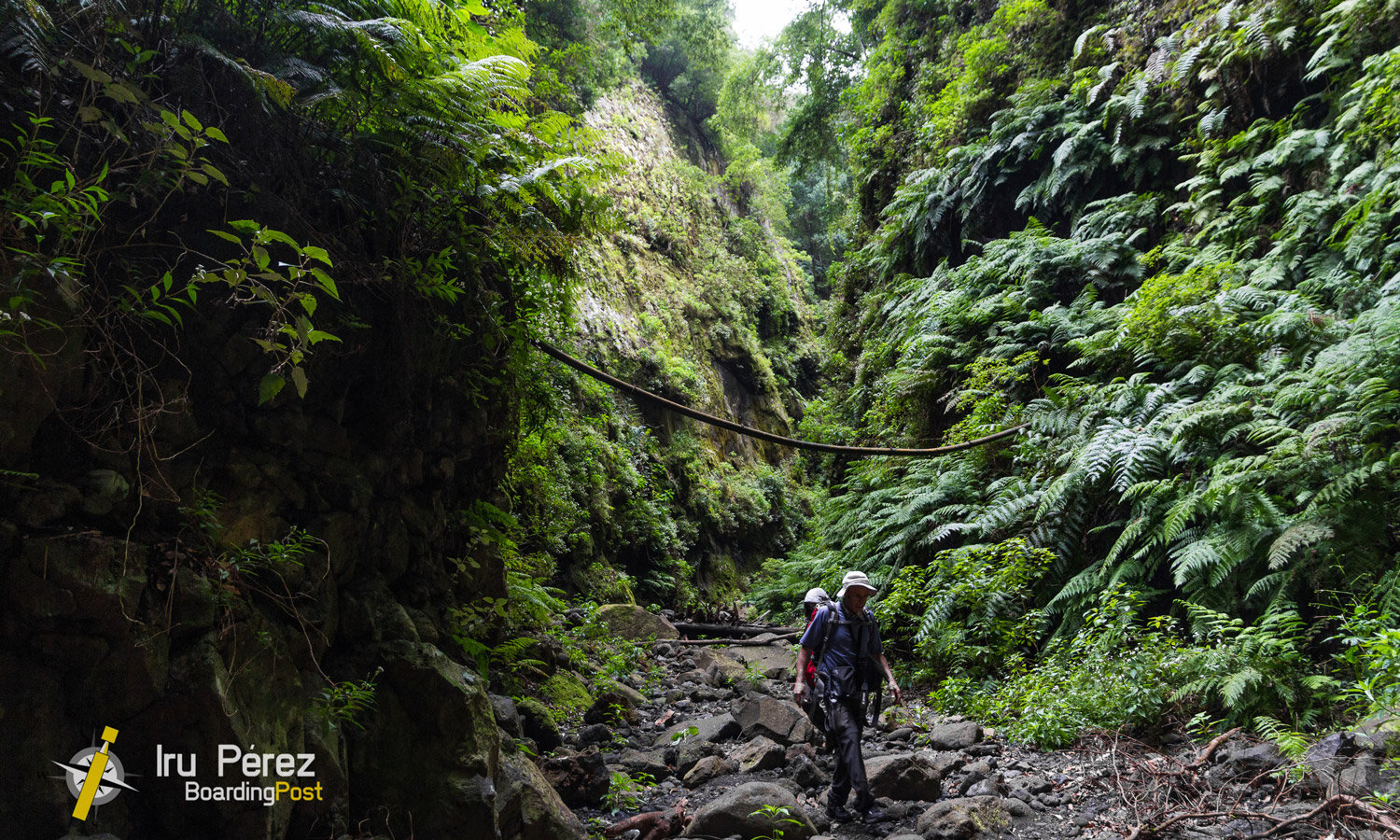 FOTOGALERÍA | Los Tilos, agua y laurisilva | Boarding Post