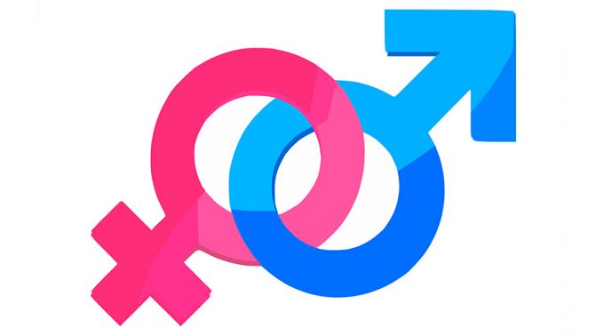 REDAFÁCIL: O Significado de "Gênero"