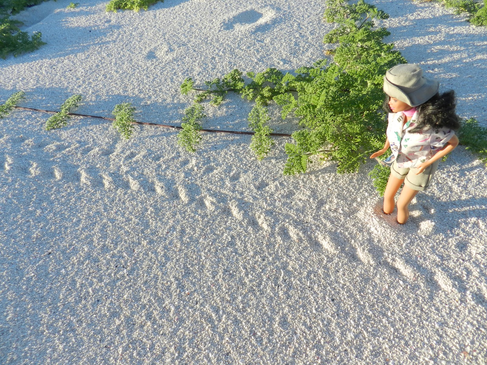 Coffee With Hallelujah: PALEONTOLOGIST BARBIE WILLINGLY SACRIFICES HER ...