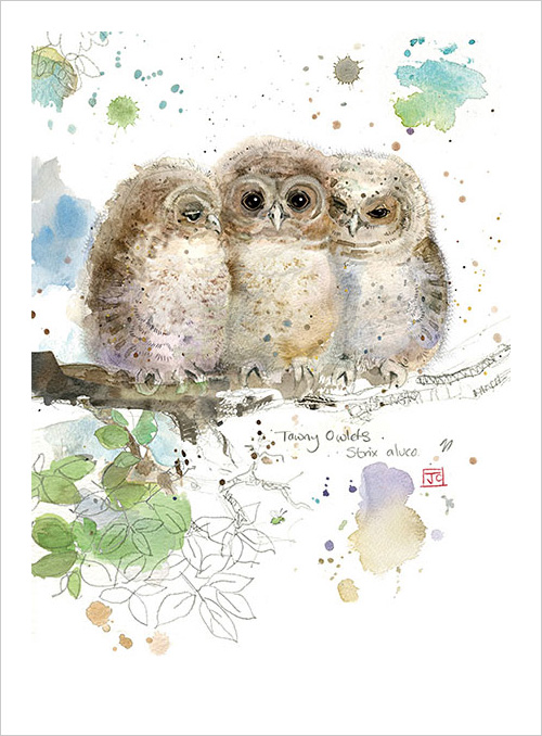 My Owl Barn: Bug Art Greeting Cards by Jane Crowther