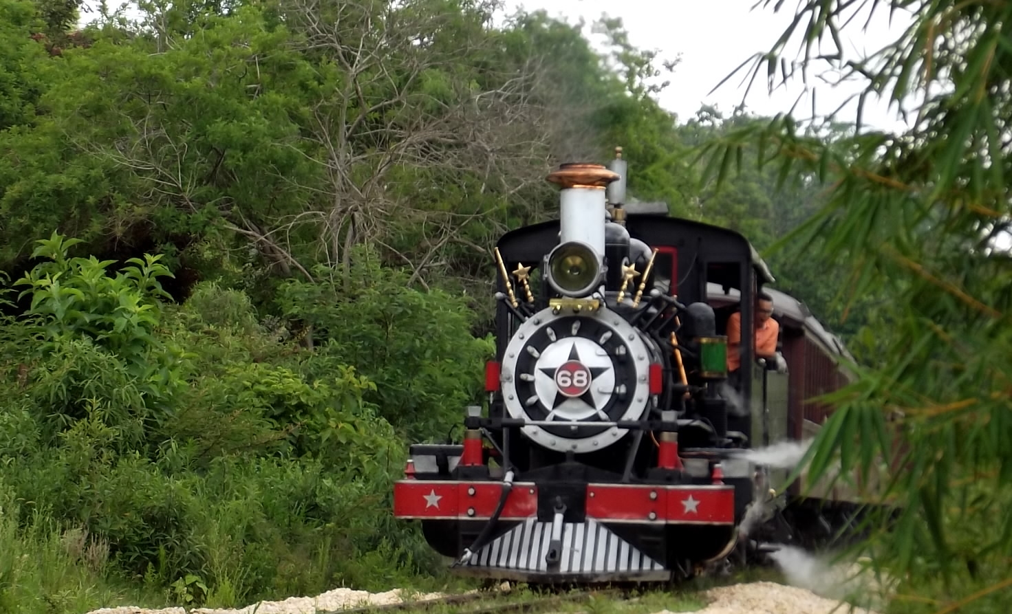 Tradições Populares das Vertentes: A Chegada da Maria Fumaça